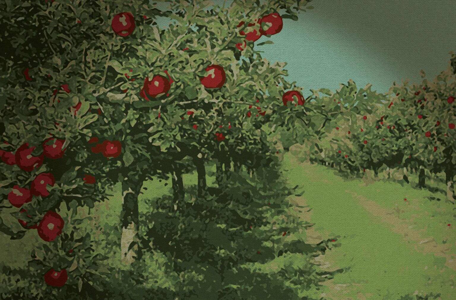 Windsor Canadian Whisky | Windsor Canadian Whisky